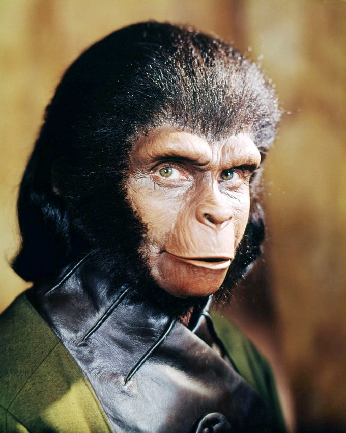 Planet of The Apes Kim Hunter as Dr Zira 24x36 Movie Poster HD Aluminum ...