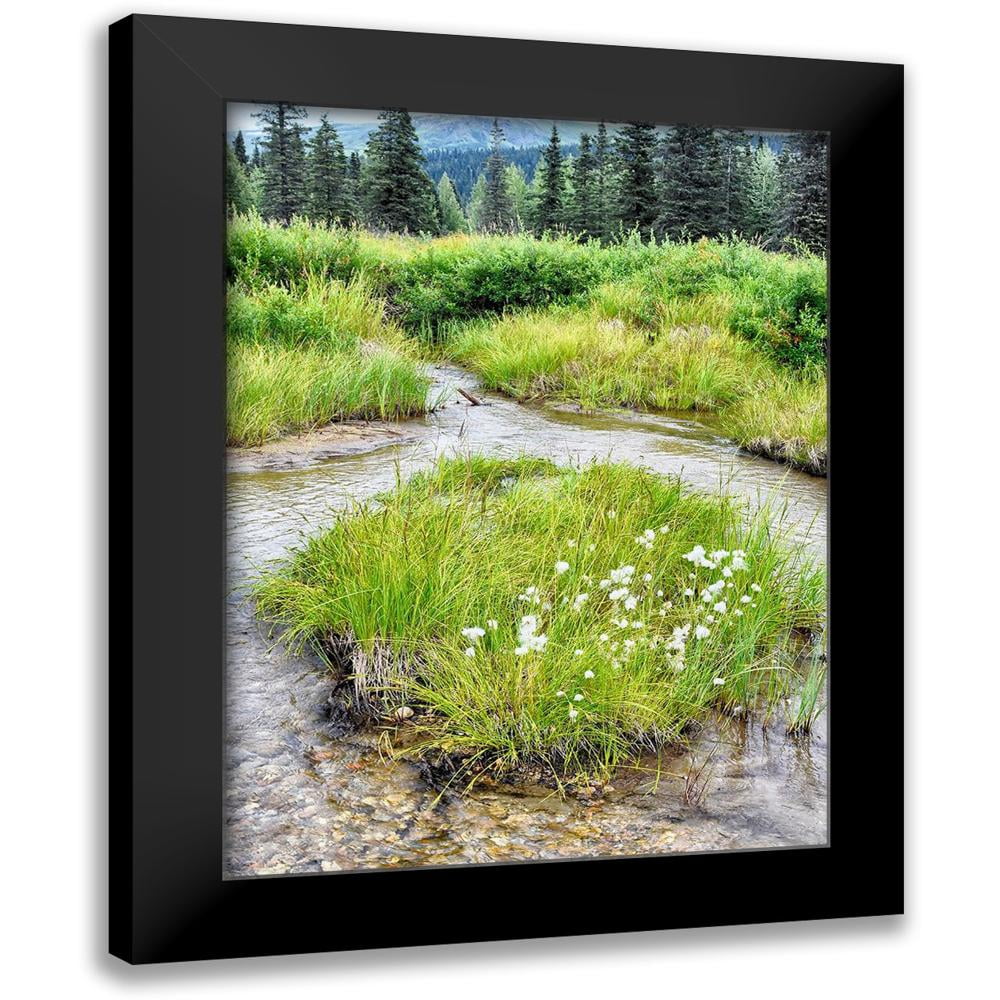 Plank, Savanah 12x14 Black Modern Framed Museum Art Print Titled ...