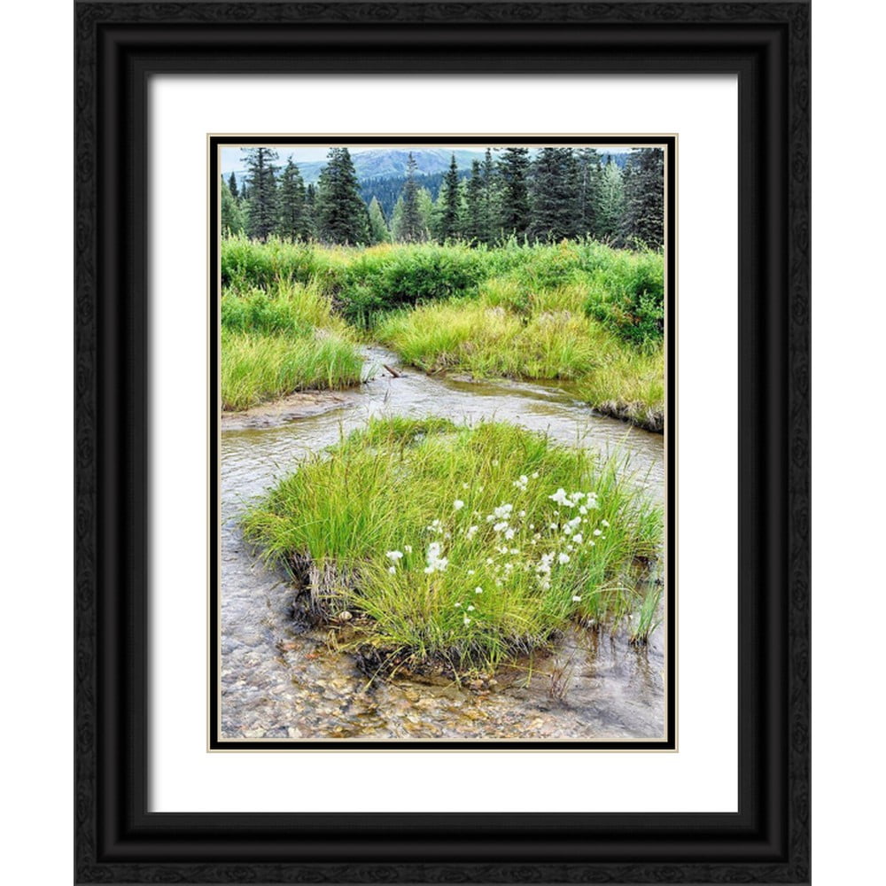 Plank, Savanah 12x14 Black Ornate Wood Framed with Double Matting ...