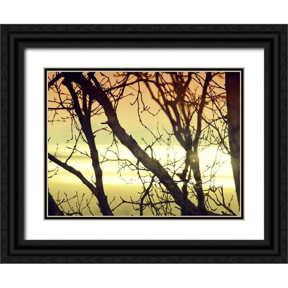 Plank, Savanah 14x12 Black Ornate Wood Framed with Double Matting Museum Art Print Titled ...
