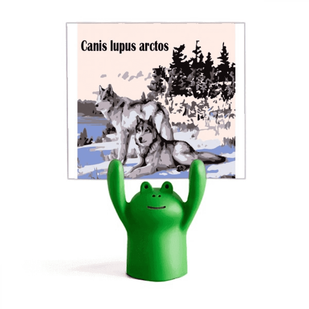 Plankton Water Tiny Art Deco Fashion Memo Holder Cartoon Animal Frog ...