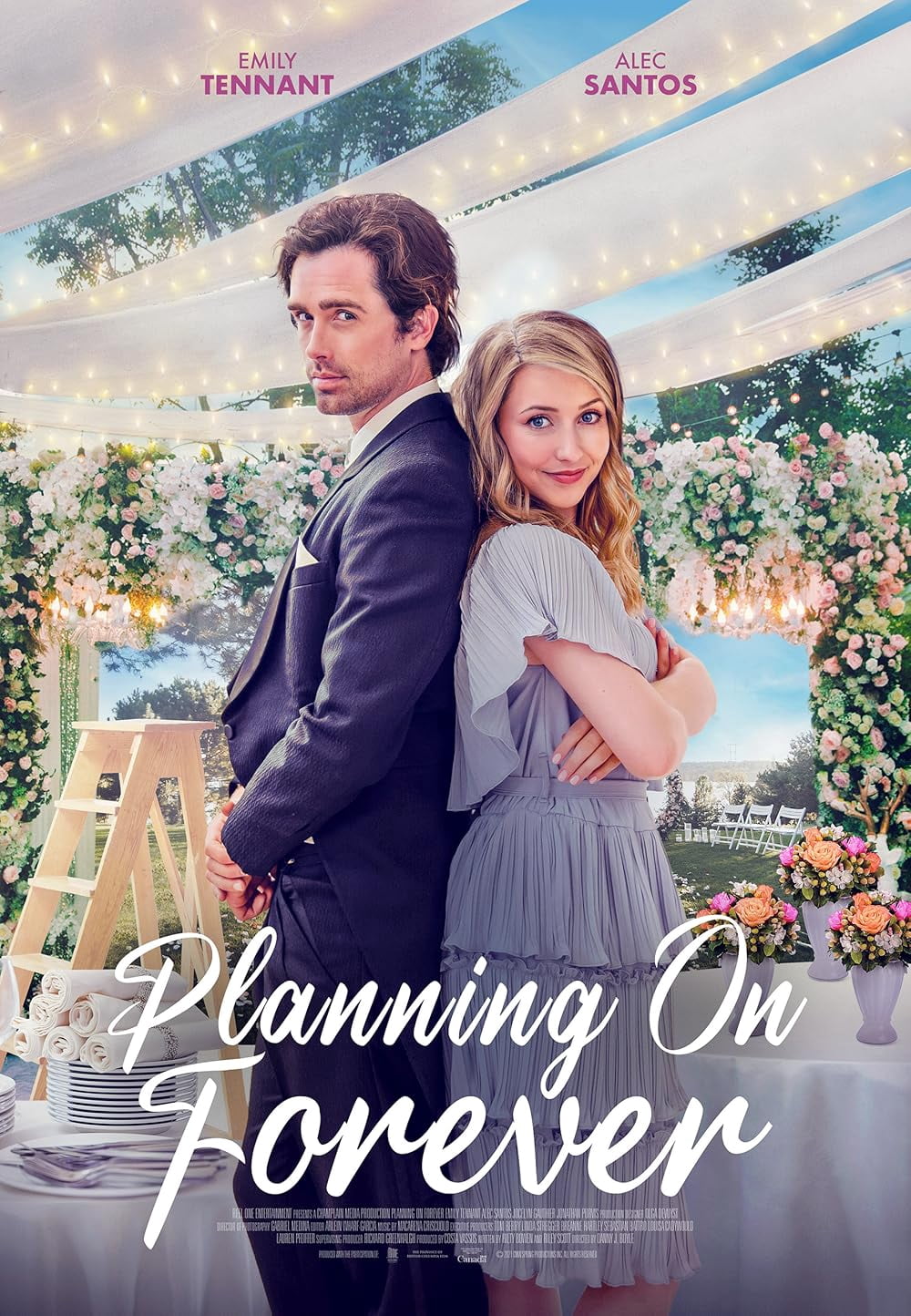 Planning On Forever (2022) Movie DVD Comedy,Romance,Family - Walmart.com