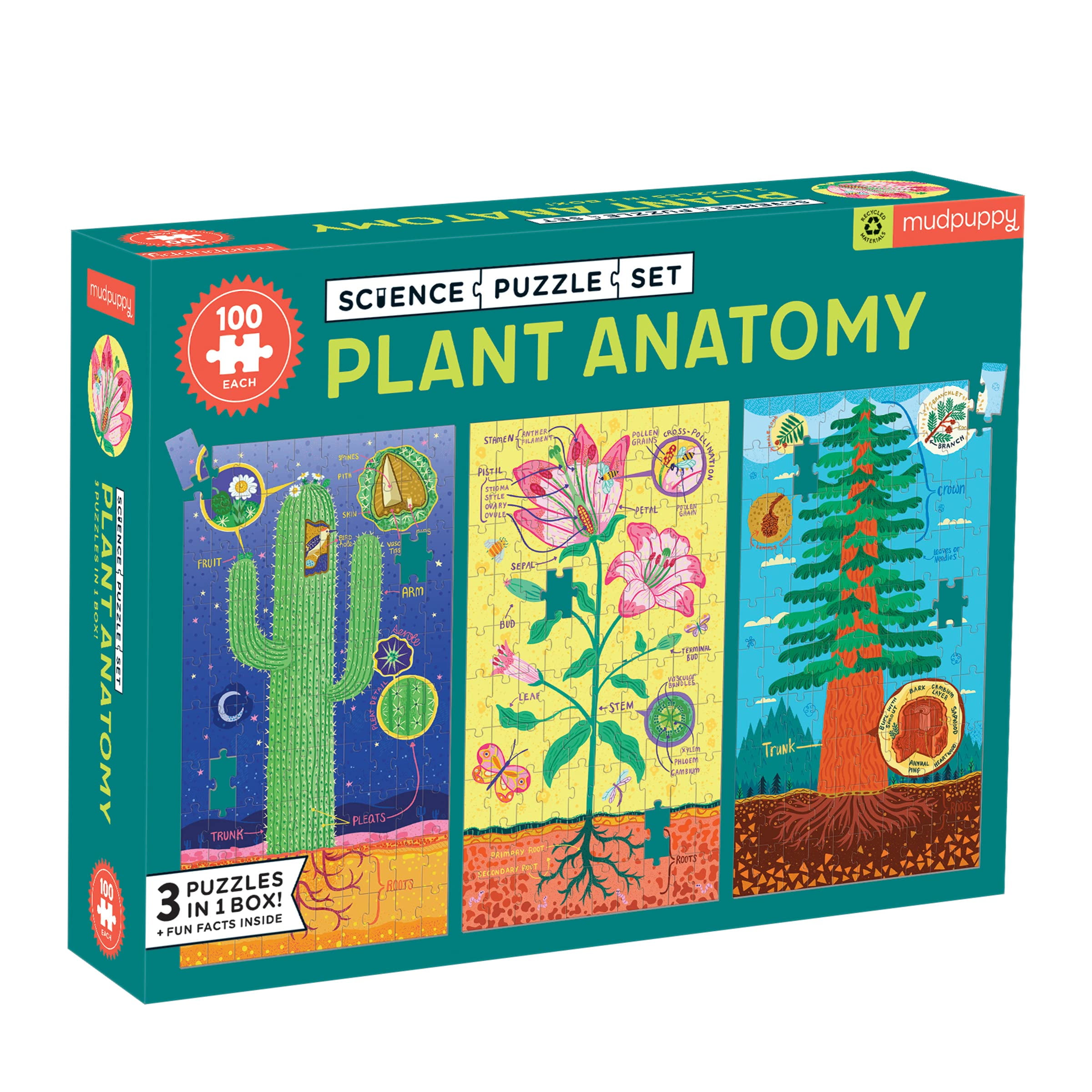 Plant Anatomy Science Puzzle EC36 Set from Mudpuppy - Includes Three ...
