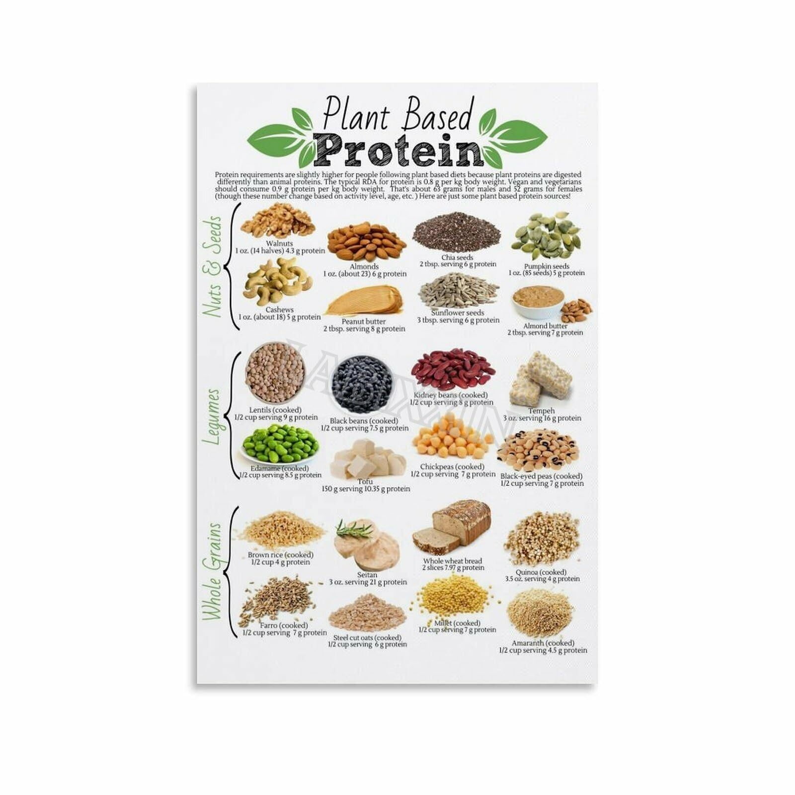 Plant Based Protein Poster Healthy Food Kitchen Wall Decor Canvas for ...