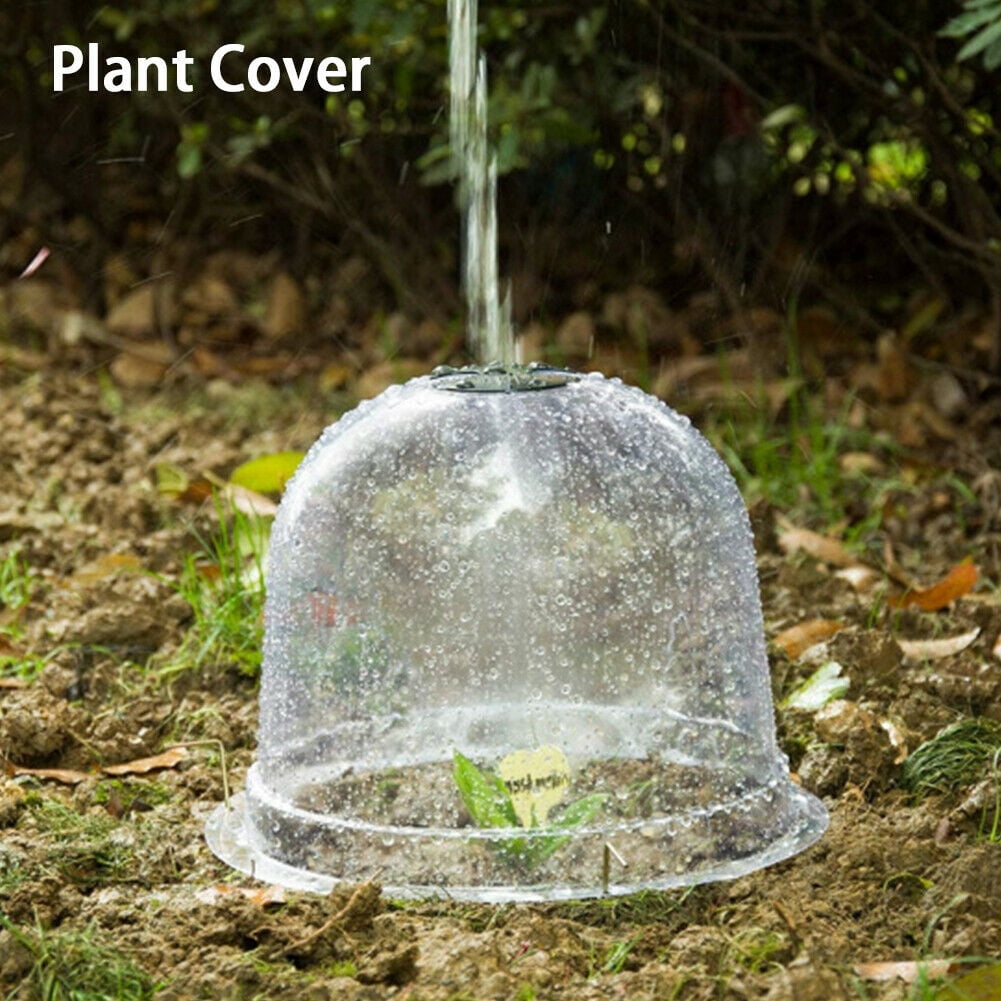 Plant Bell Cover Dome Anti-freeze Transparent Protector Cover Mini ...