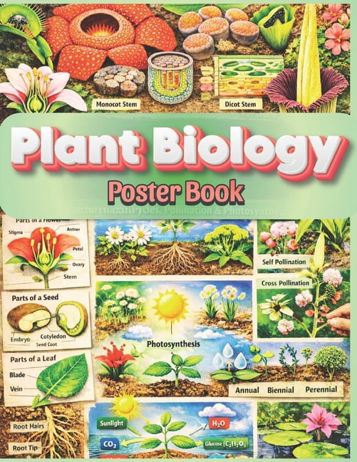 Plant Biology Poster Book: Clear Visual Charts for Structure ...