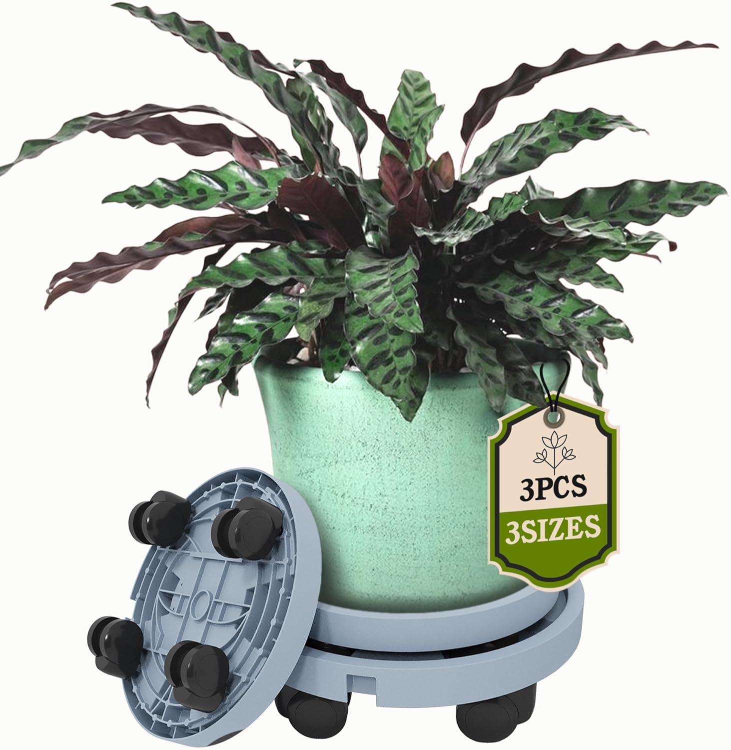Plant Caddy With Wheels 3-Pack - Plant Rollers With Wheels Rolling ...