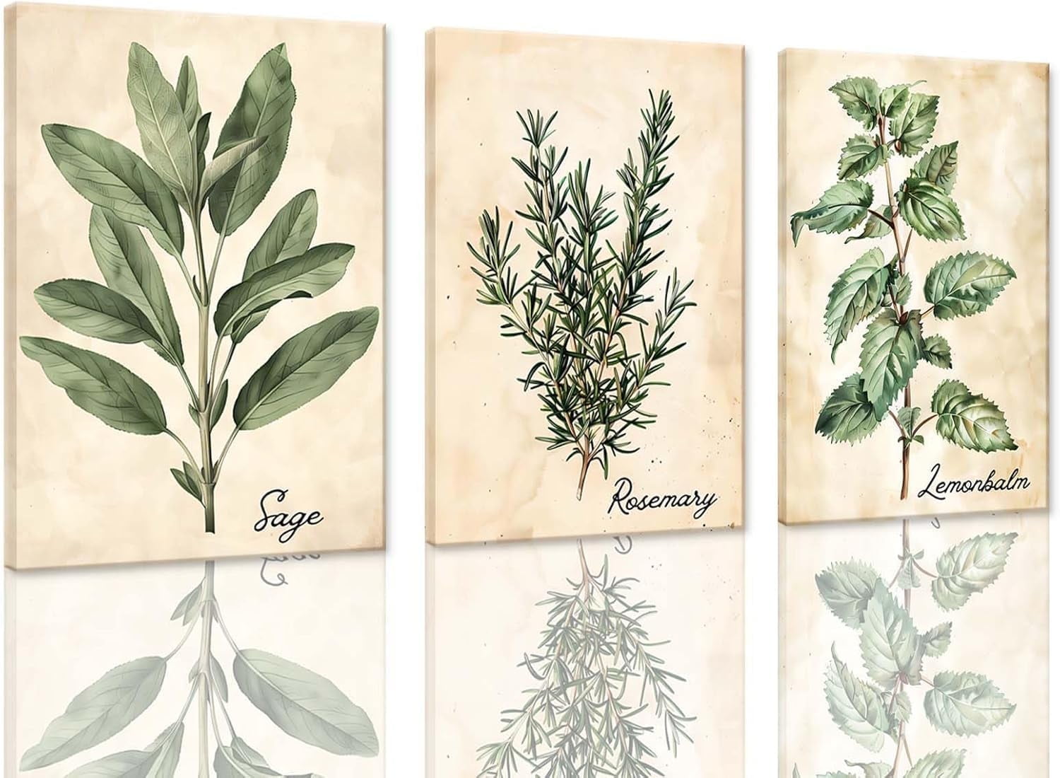 Plant Canvas Wall Art Botanical Framed Sage Green Herbs Rosemary ...