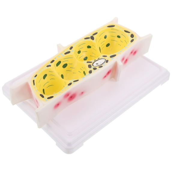Onion Epidermal Cell Model for Plant Cell Anatomy - Early Biology ...