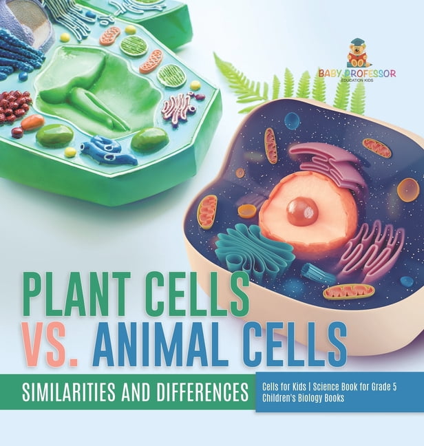 Plant Cells vs. Animal Cells: Similarities and Differences Cells for ...