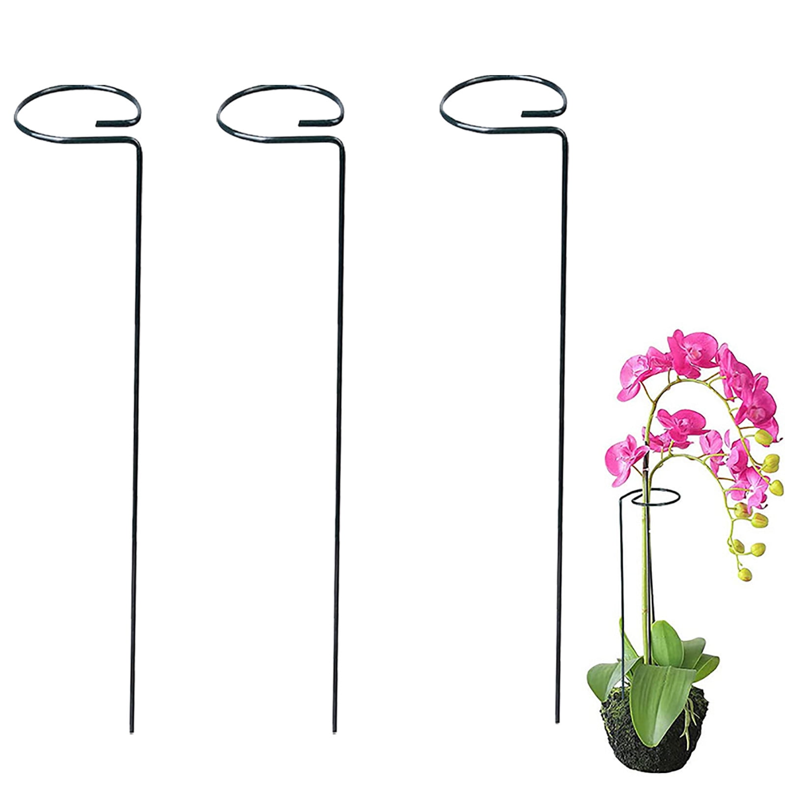 Plant Climbing Frame Metal Garden Support Pole with 6 Pack, Rust ...