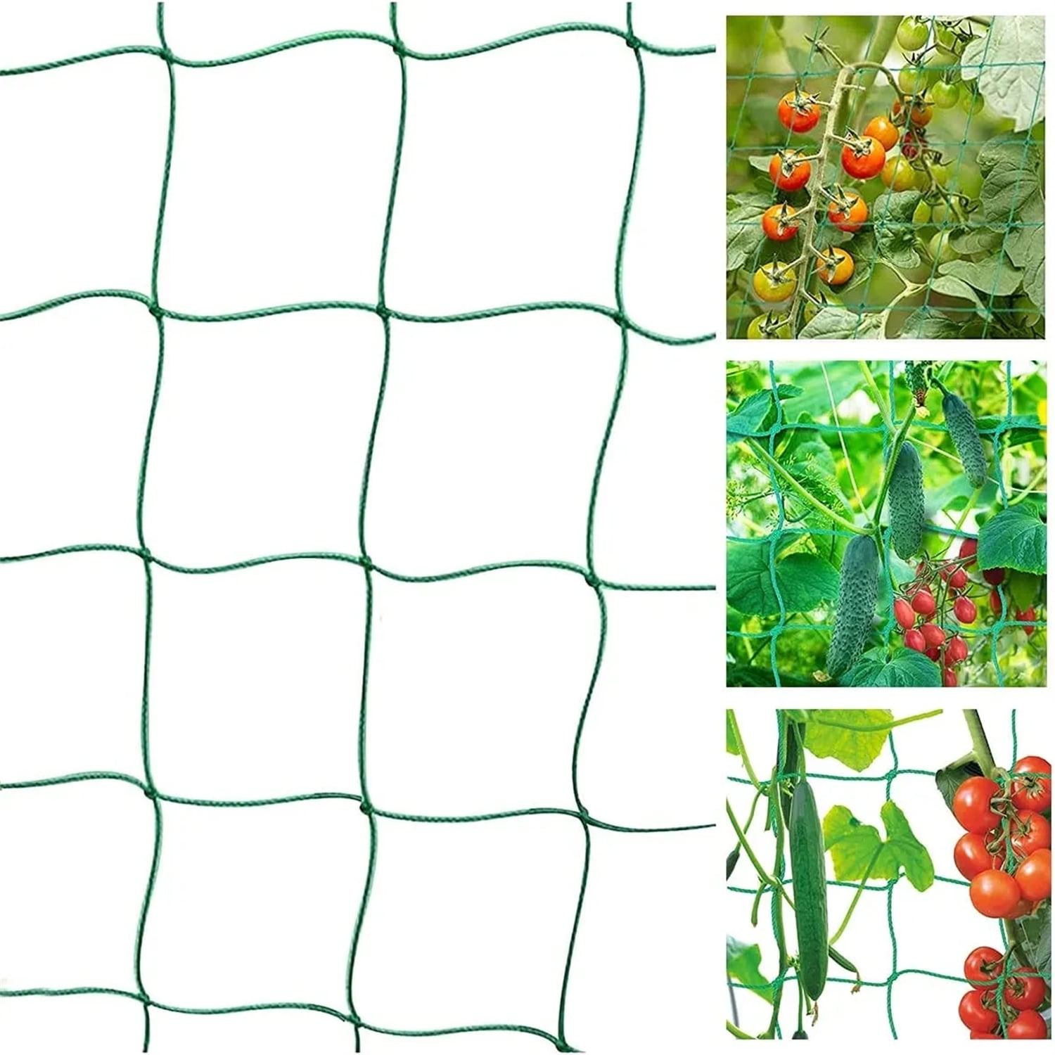 Plant Climbing Net,Garden Netting Trellis Netting Flower Climbing Net ...