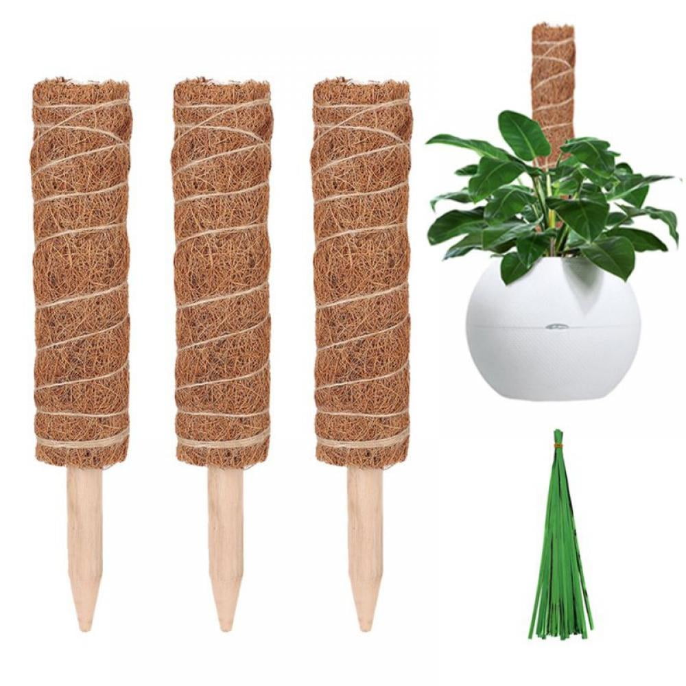 Plant Climbing Vine Coconut Palm Stick Coir Totem Pole Coir Moss Totem ...