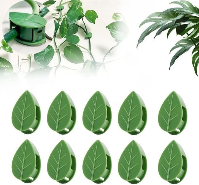 Plant Climbing Wall Fixture Clips with 100 Acrylic Adhesive Stickers ...