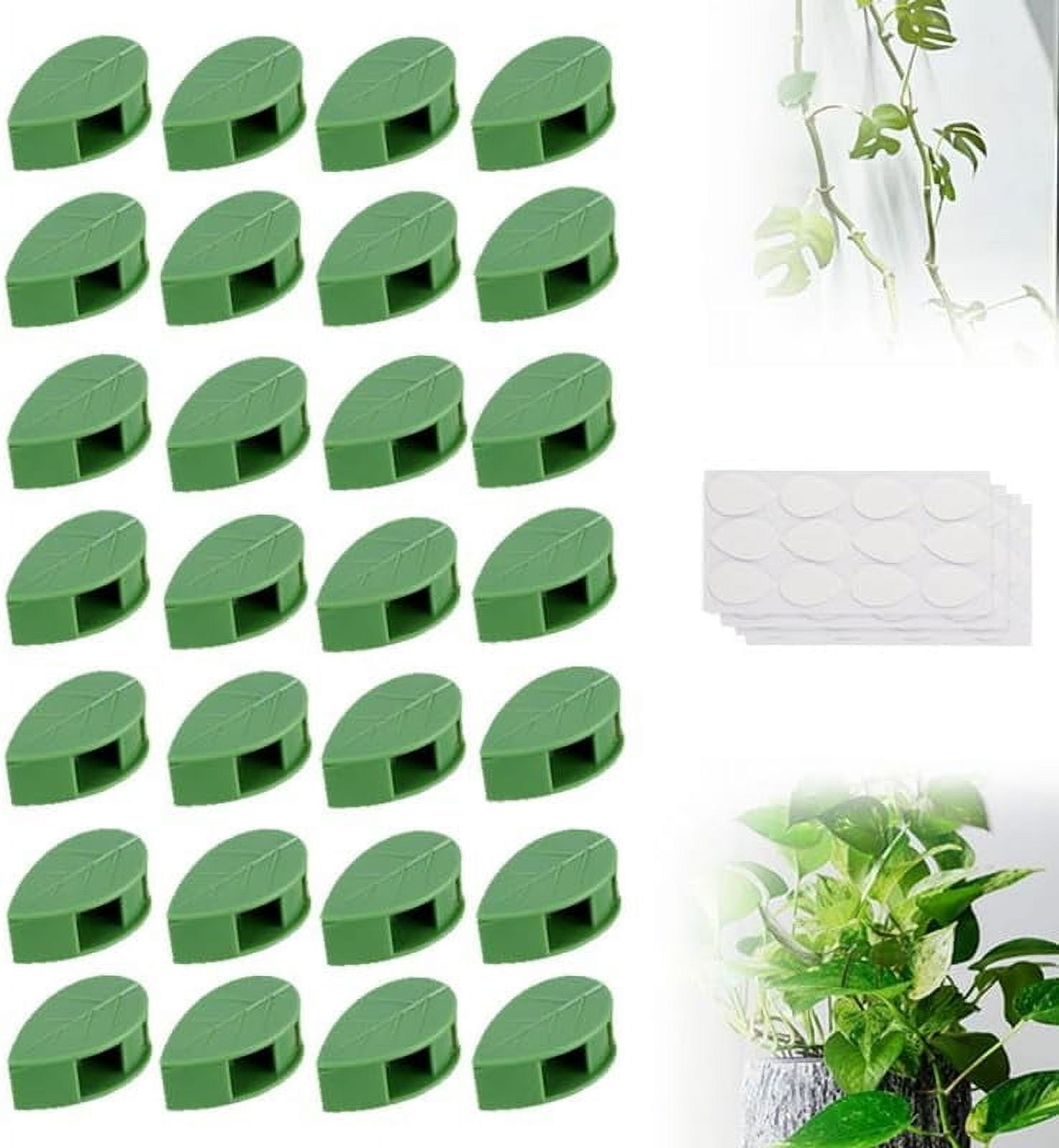 Plant Climbing Wall Fixture Clips, 2024 New Self-Adhesive Plant Clips ...