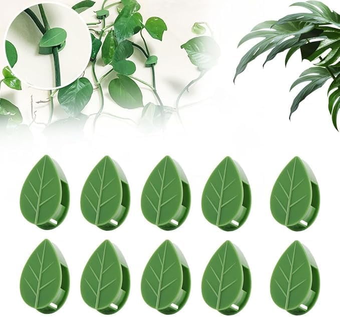 Plant Climbing Wall Fixture Clips, Self-Adhesive Invisible Wall Vines ...