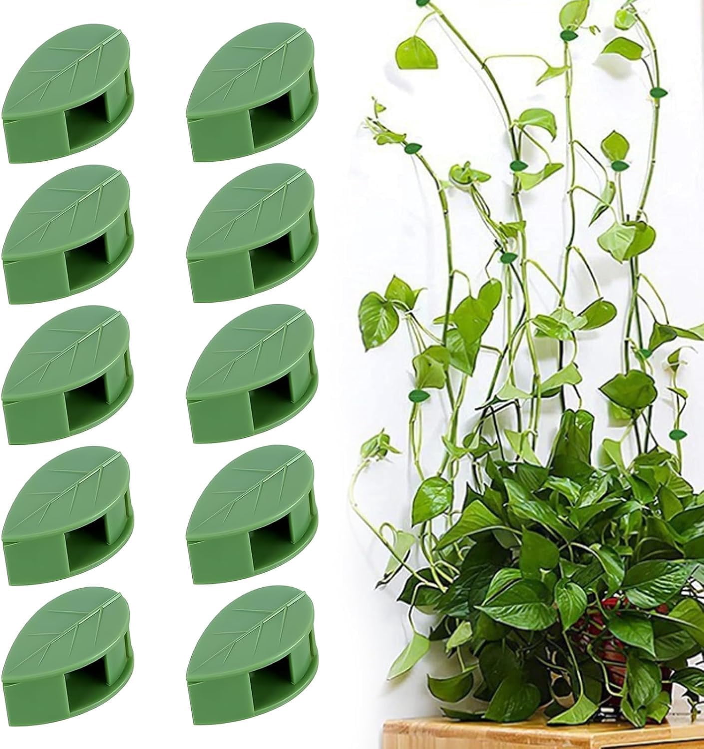 Plant Clips for Climbing Plants,Plant Climbing Wall Fixture Clips ...