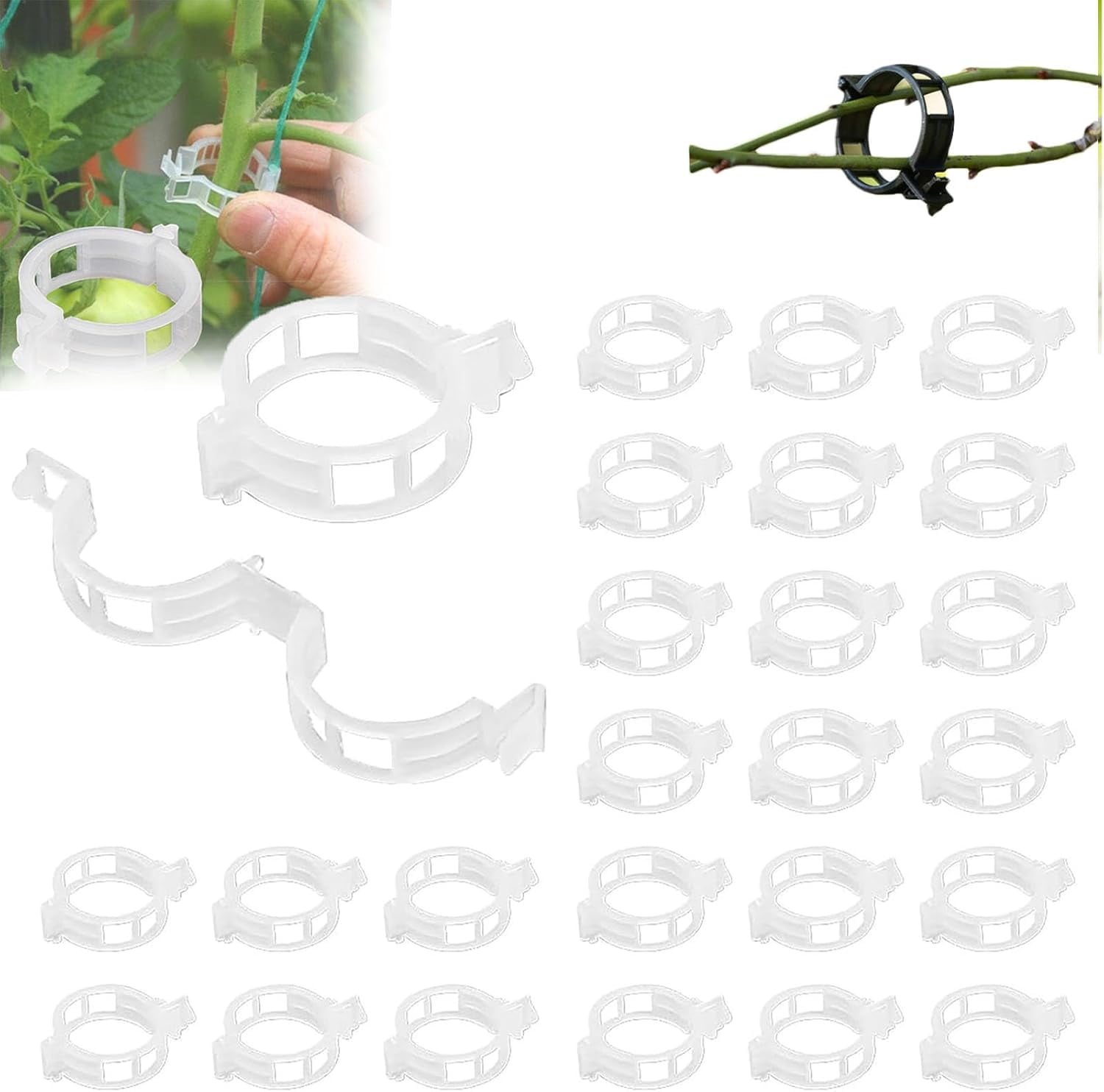 Plant Clips for Climbing Plants, Tomato Clips for Climbing Plants ...