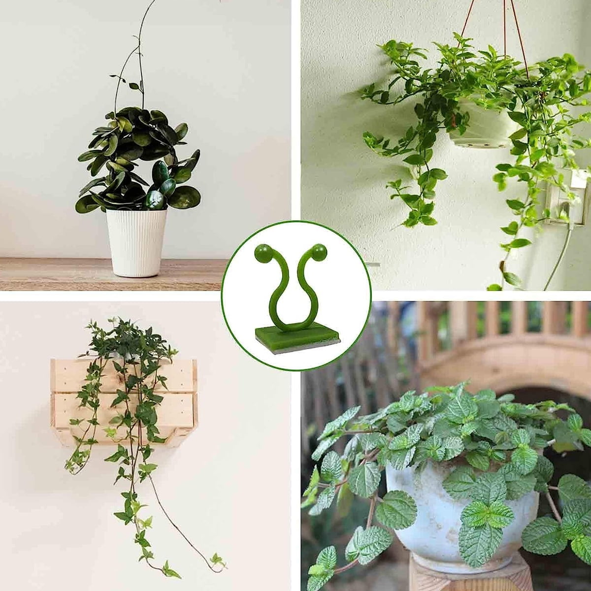 Plant Clips-Plant Climbing Wall Fixture Clips 60Pcs, Invisible Clips ...