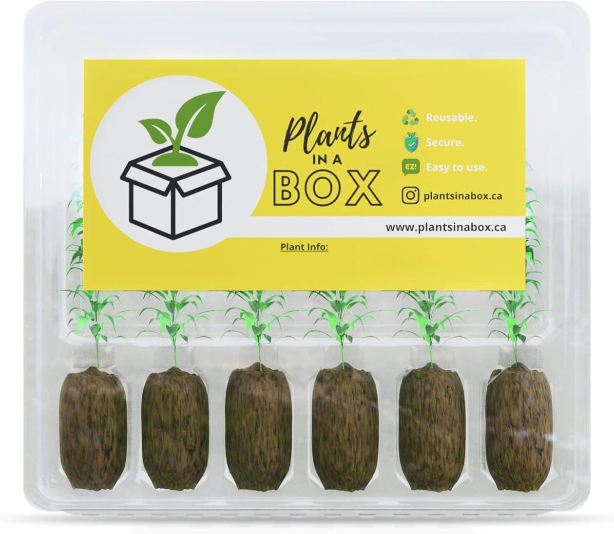 Plant Cloner Shipping Box for Plants – Reusable Plant Nursery Pots ...