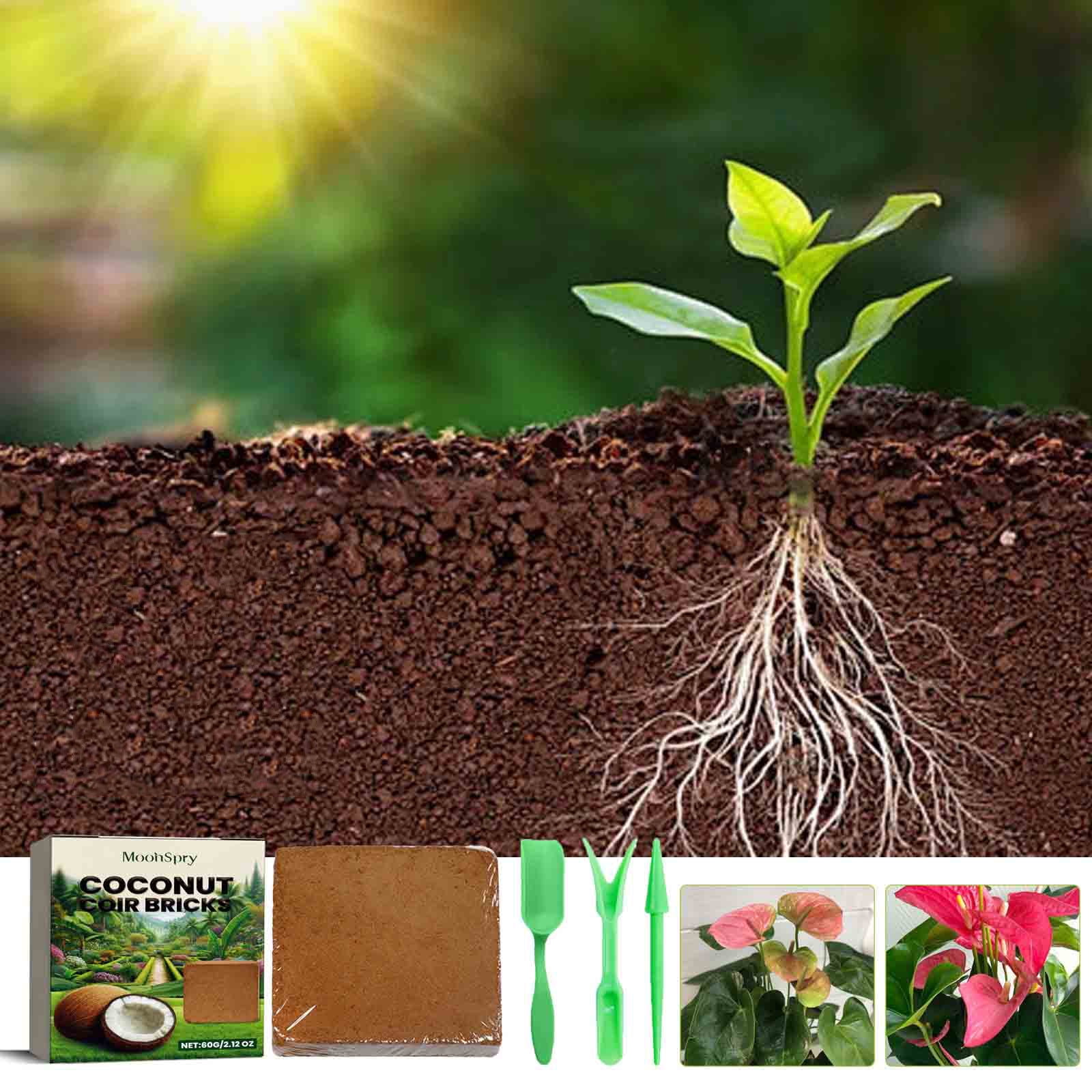 Plant Coconut Fiber Tile Set with Small Trowel, Hole Punch and Seedling ...