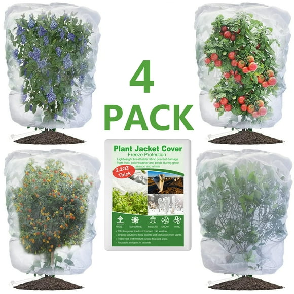 Blueberry Bush Protection