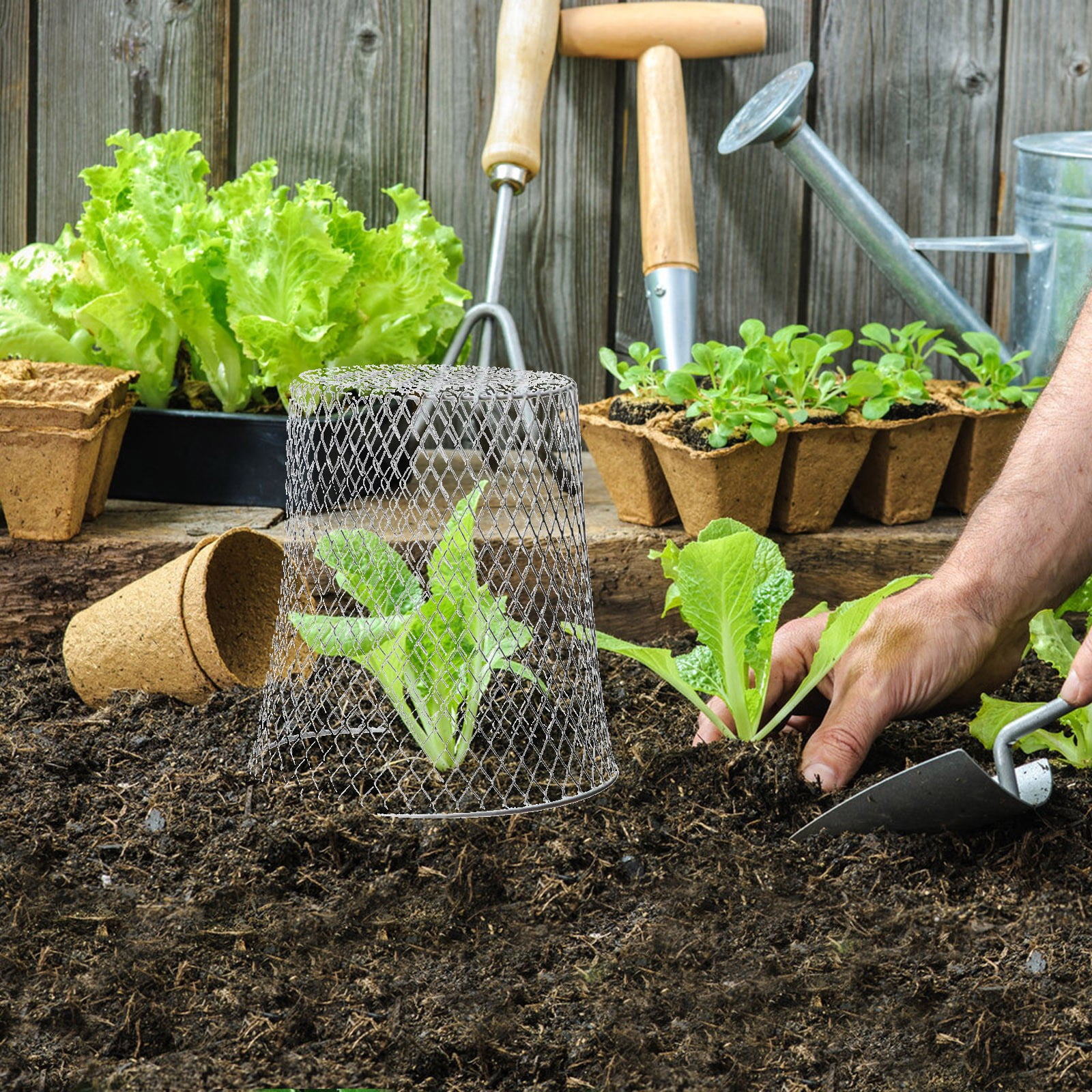 Plant Covers from Animals,Chicken Wire Cloche Plant Covers Garden ...