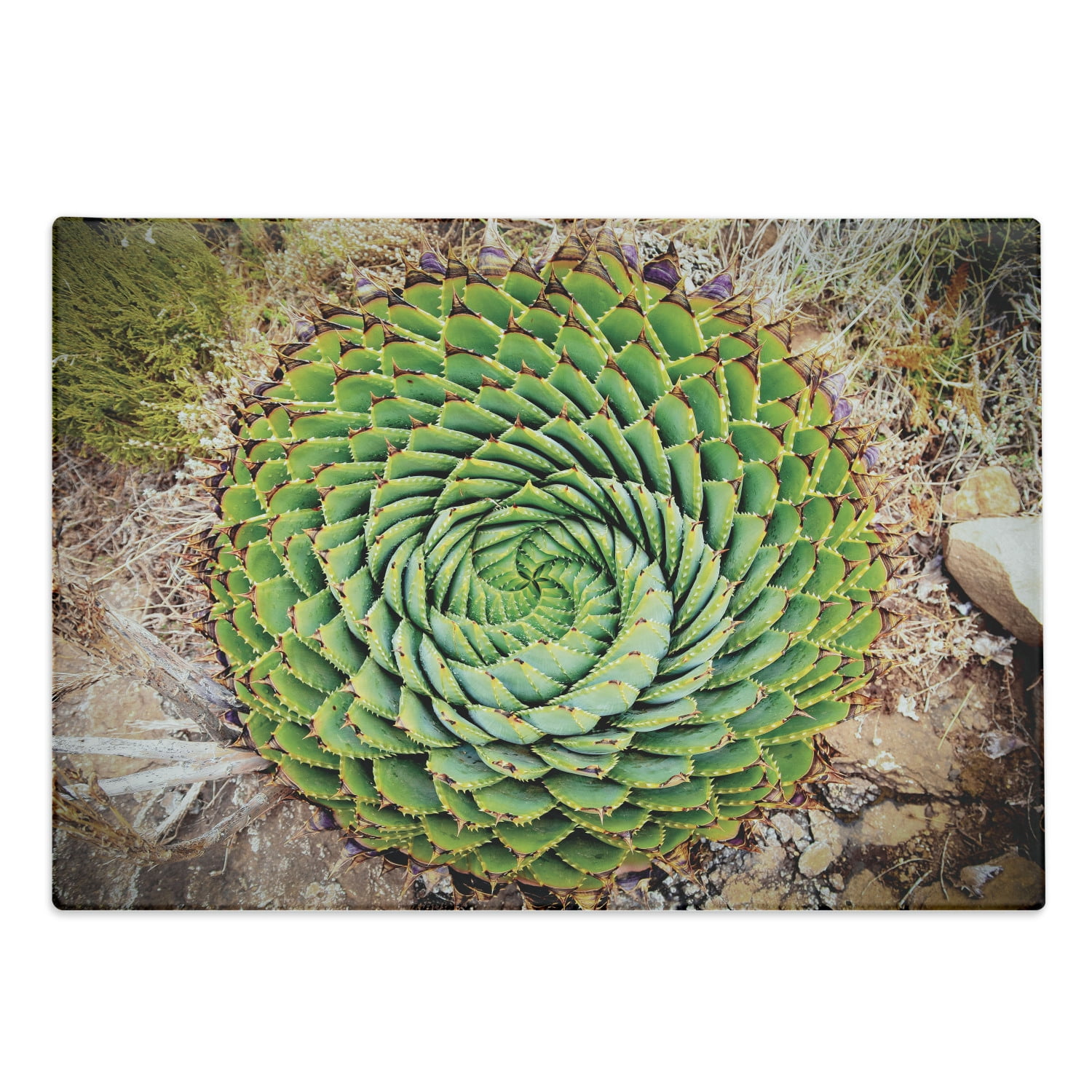 Plant Cutting Board, National Flower of Lesotho South of Africa Aloe ...