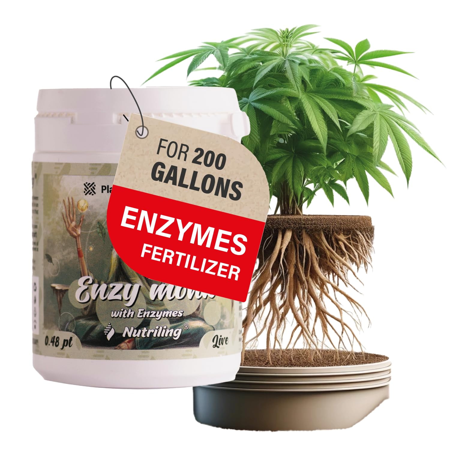 Plant Enzymes Fertilizer - Enzy Monk Root Rot Treatment for Trees ...