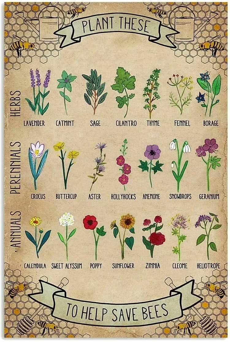 Plant Flower Metal Tin Signage Shape Color Guide Picture Poster Signage ...