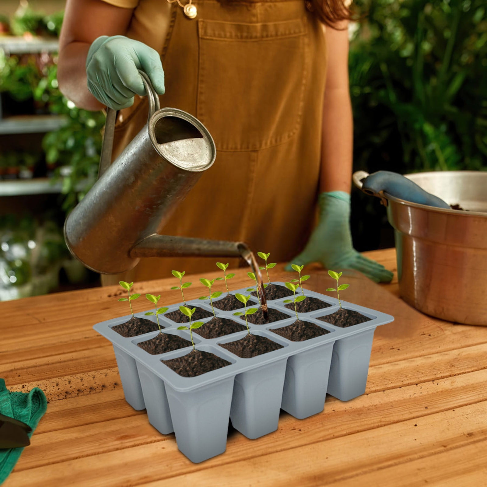 Plant Germination Trays - Silicone Seed Starter Tray, 12 Cell Nursery ...