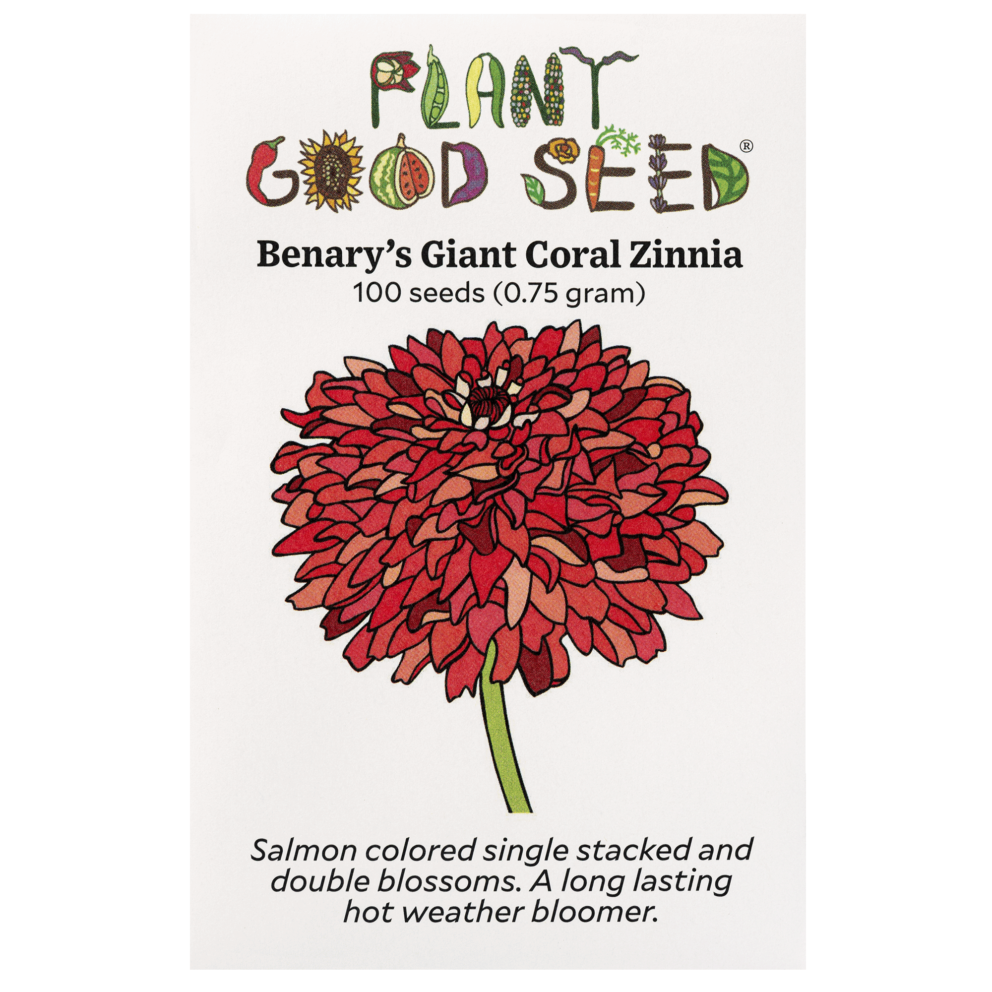 Plant Good Seed Benary's Giant Coral Zinnia Seeds: Dahlia Double ...