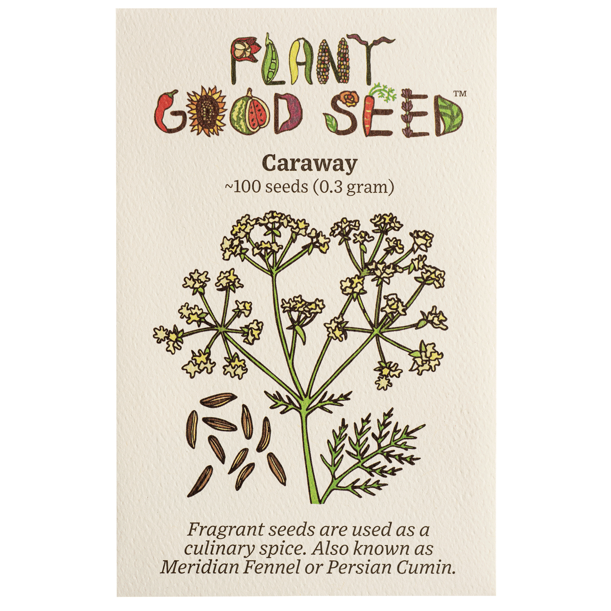 Plant Good Seed Caraway Seeds - 100 Seed Packet for Planting, Biennial ...