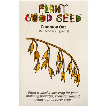 The Plant Good Seed Red Hard Spring Wheat Seeds - 200 Seeds ...