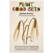 The Plant Good Seed Red Hard Spring Wheat Seeds - 200 Seeds ...