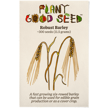 The Plant Good Seed Red Hard Spring Wheat Seeds - 200 Seeds ...