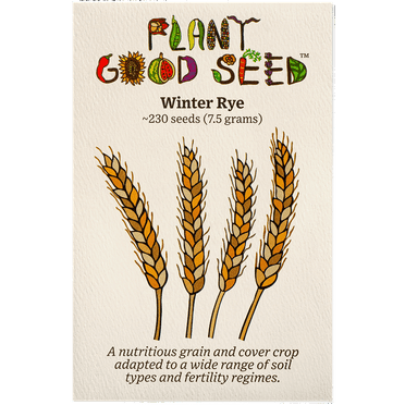 The Plant Good Seed Red Hard Spring Wheat Seeds - 200 Seeds ...
