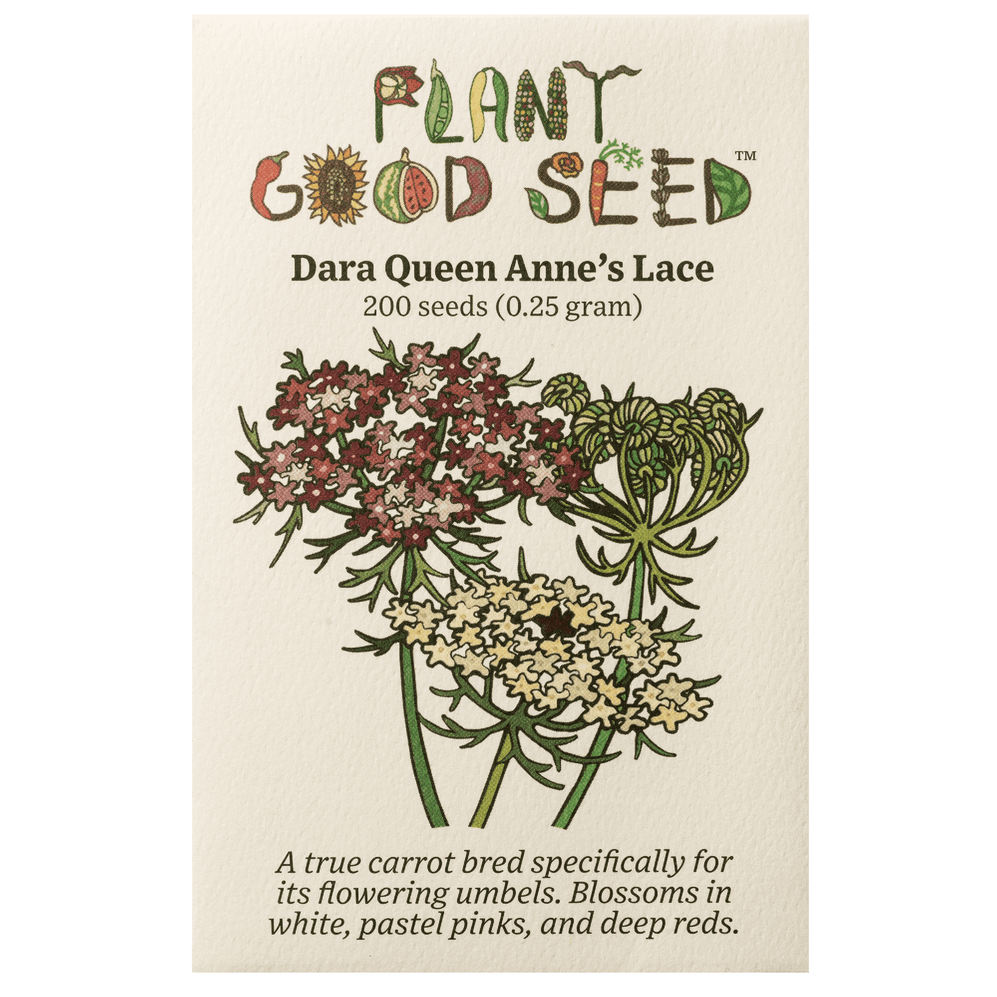Plant Good Seed Dara Queen Anne's Lace Flower Seeds Heirloom Pink ...