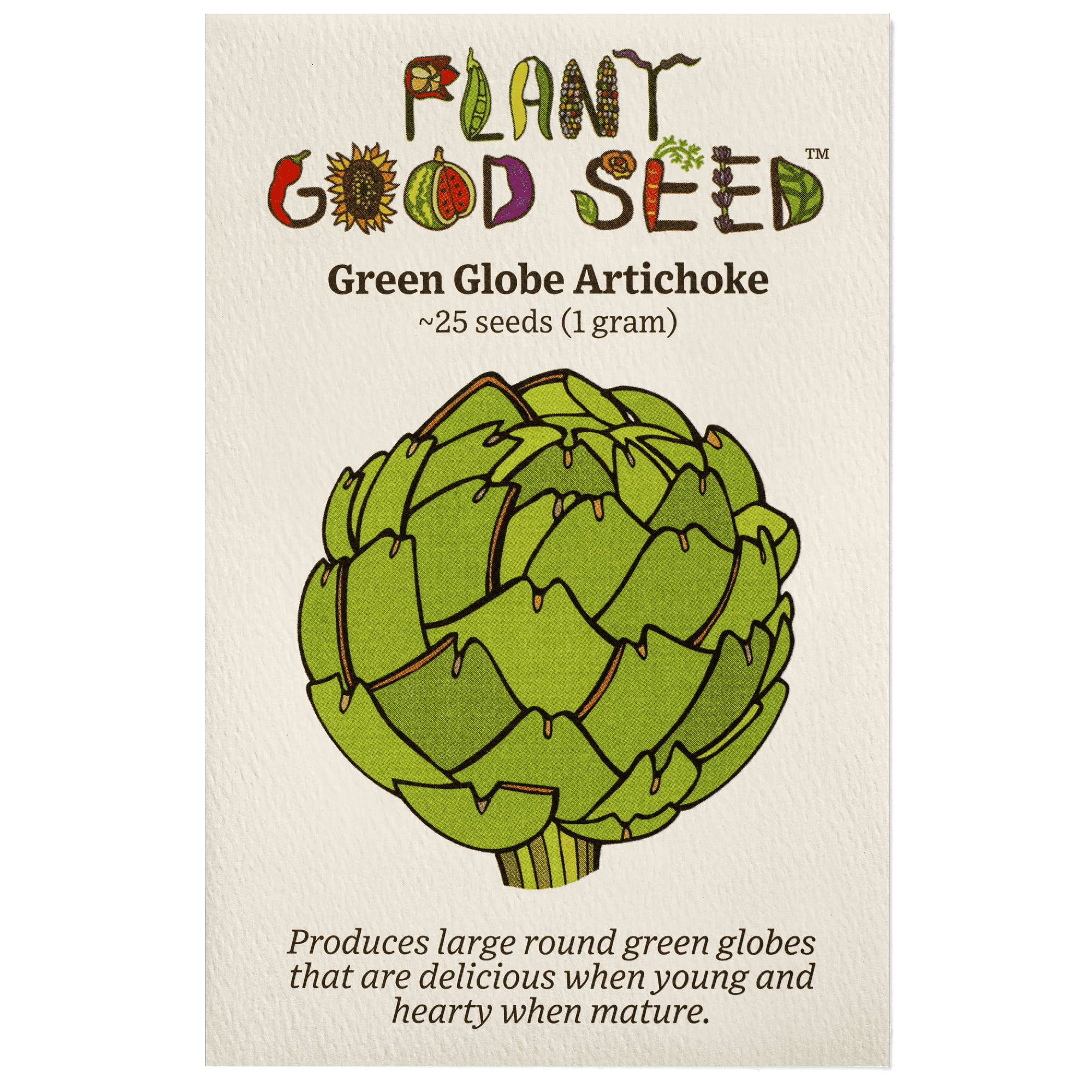 Plant Good Seed Green Globe Artichoke Seeds, Cynara Cardunculus Var ...