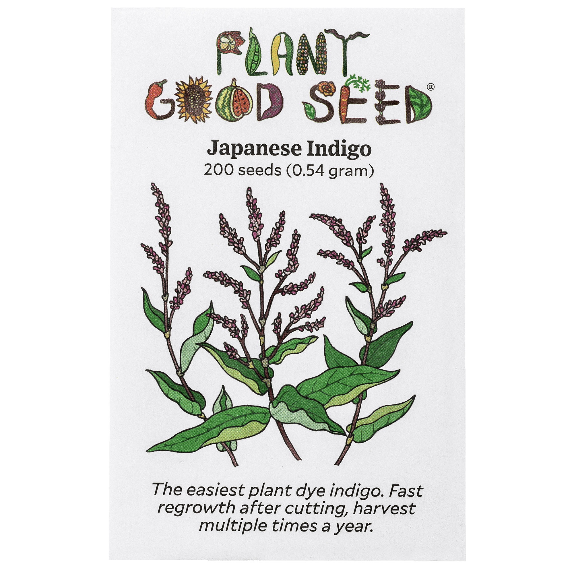 Plant Good Seed Japanese Indigo Seeds for Planting: 200 Seed Packet ...