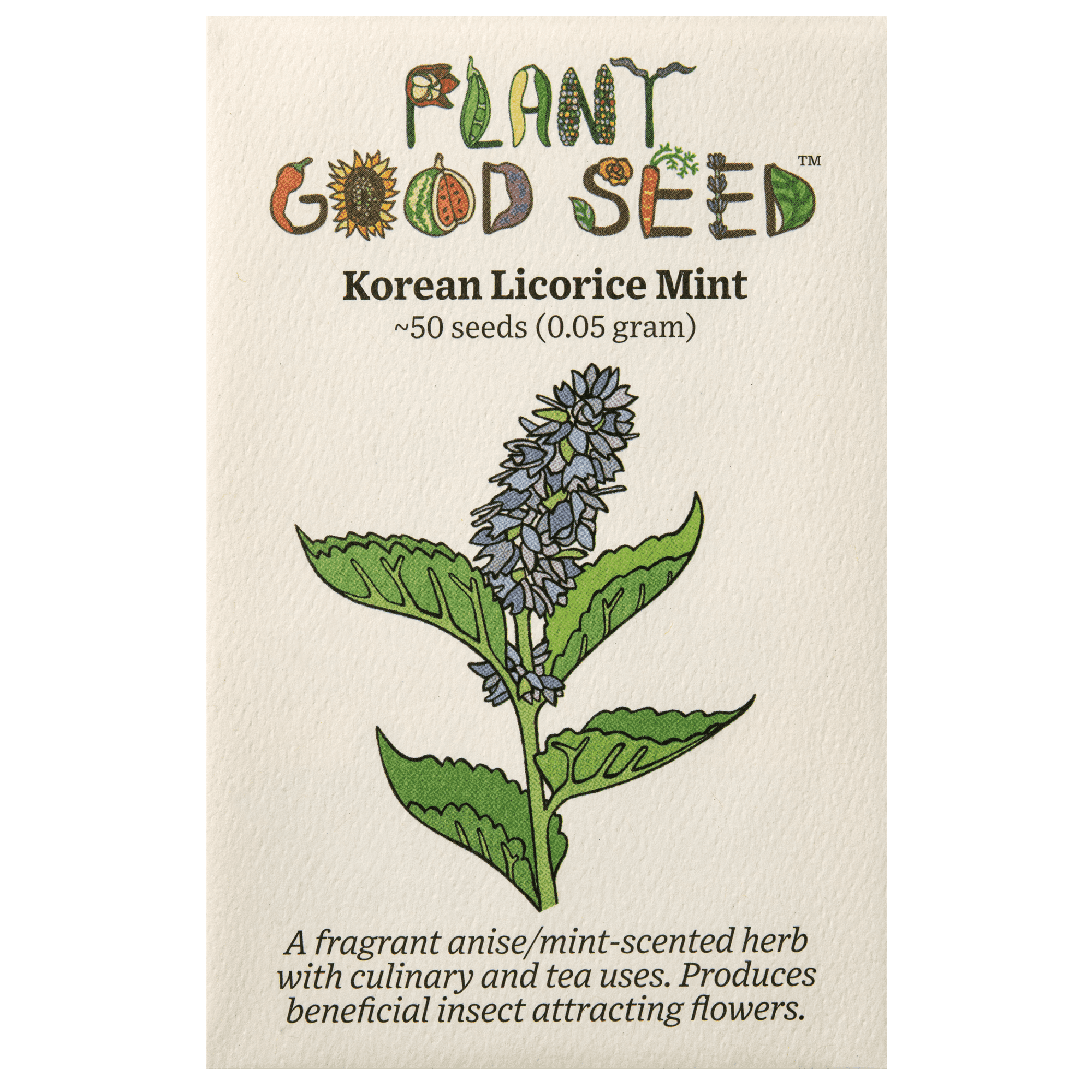 Plant Good Seed Korean Licorice Mint Seeds for Planting Hardy Part Sun ...