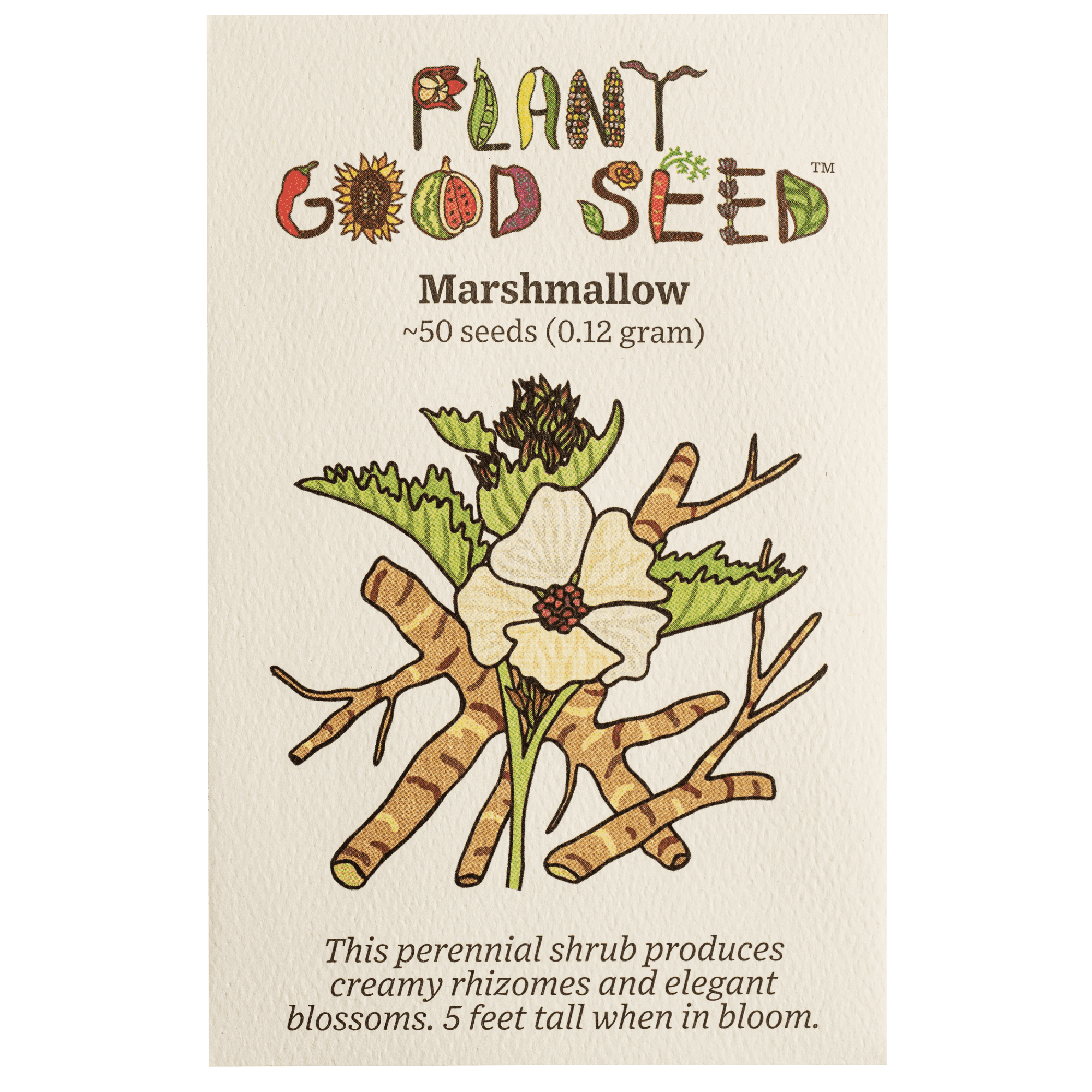 Plant Good Seed Marshmallow Seeds for Planting: Althaea Officinalis ...