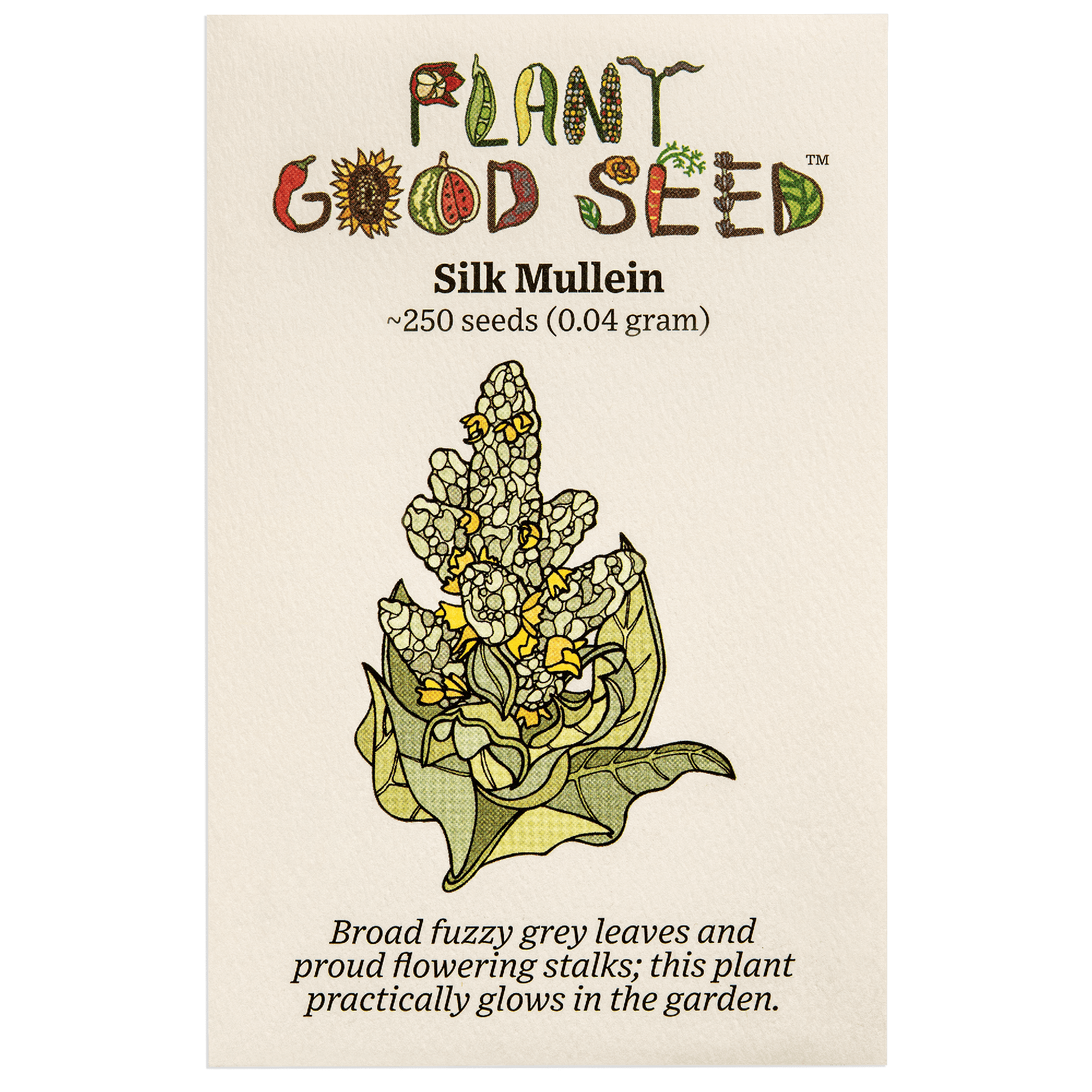 Plant Good Seed Silk / Giant Silver Mullein Seed Packet: Perennial Herb ...