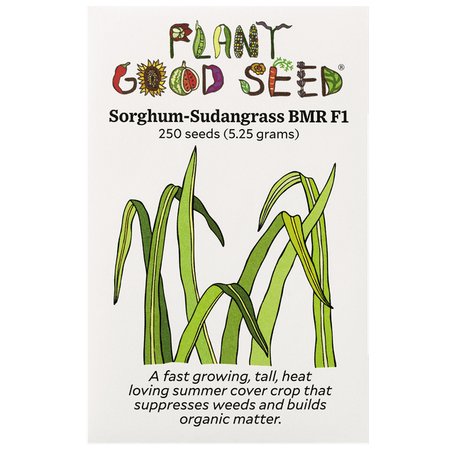 Plant Good Seed Sorghum Sudangrass Seeds BMR F1 Hybrid Vigorous Organic Cover Crop Weed ...