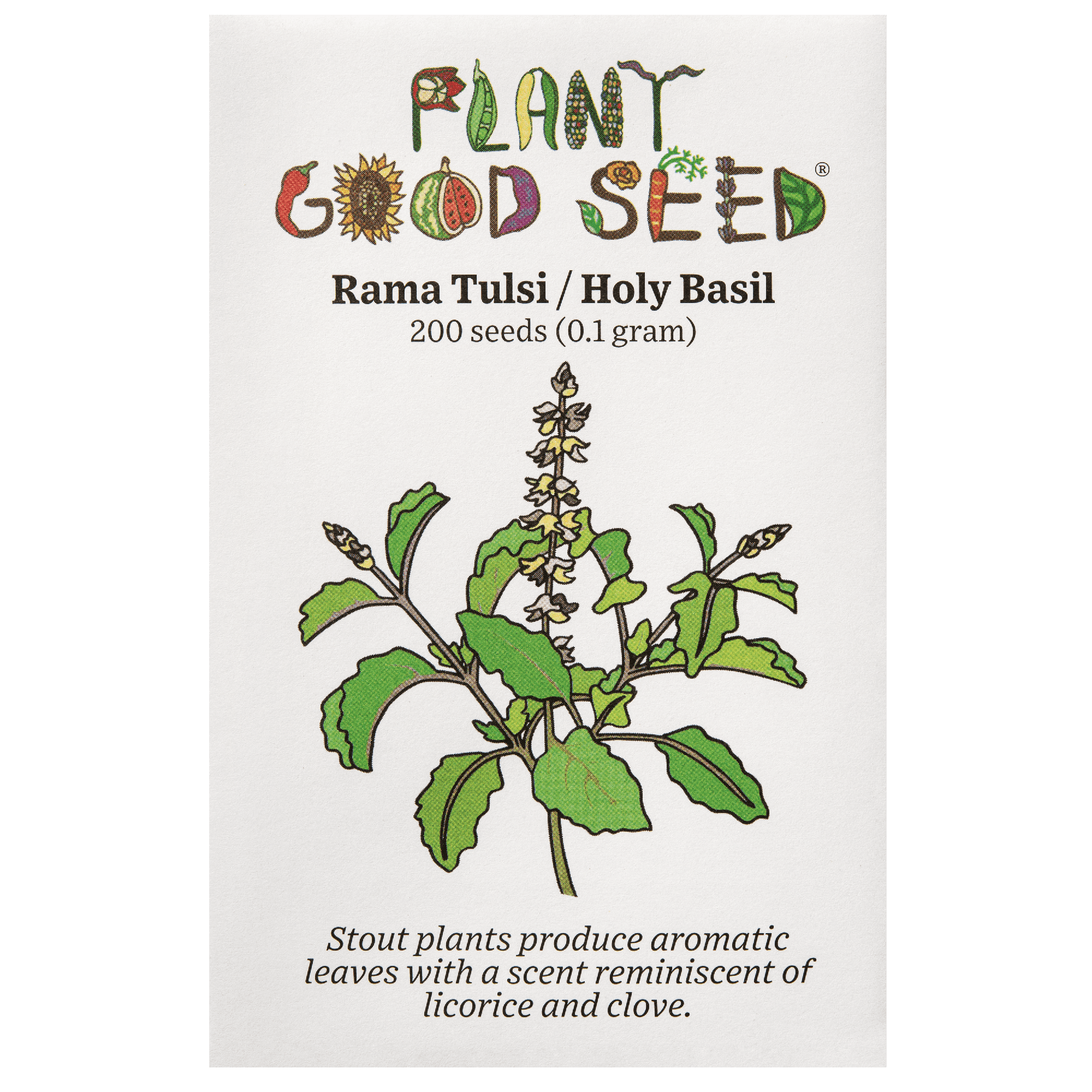 Plant Good Seed, Holy Basil Seeds, 200 Count, Fragrant Tulsi - Walmart.com
