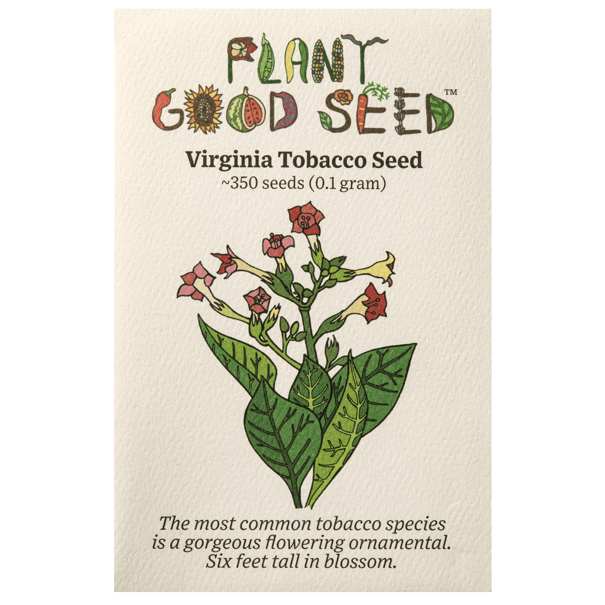 Plant Good Seed, Virginia Burley Seeds, Fast Growing, Tan Leaf, Pink ...