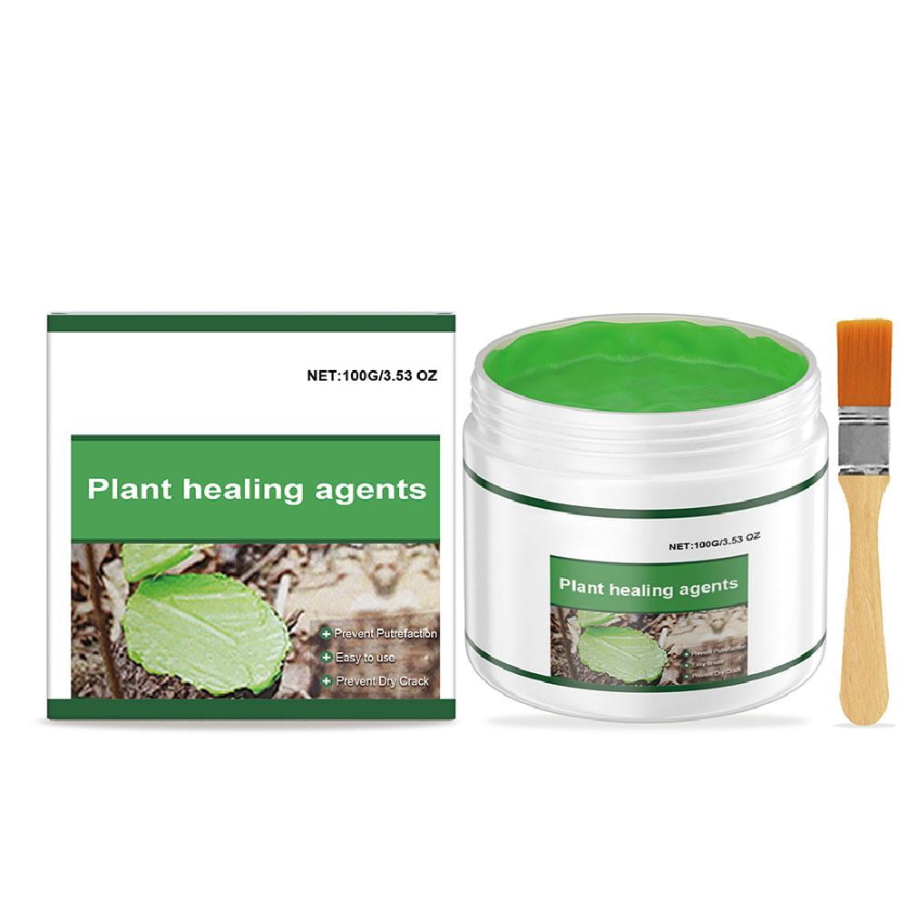 Plant Grafting Bonsai Pruning Sealer Wound Healing Paste 100g Smear ...
