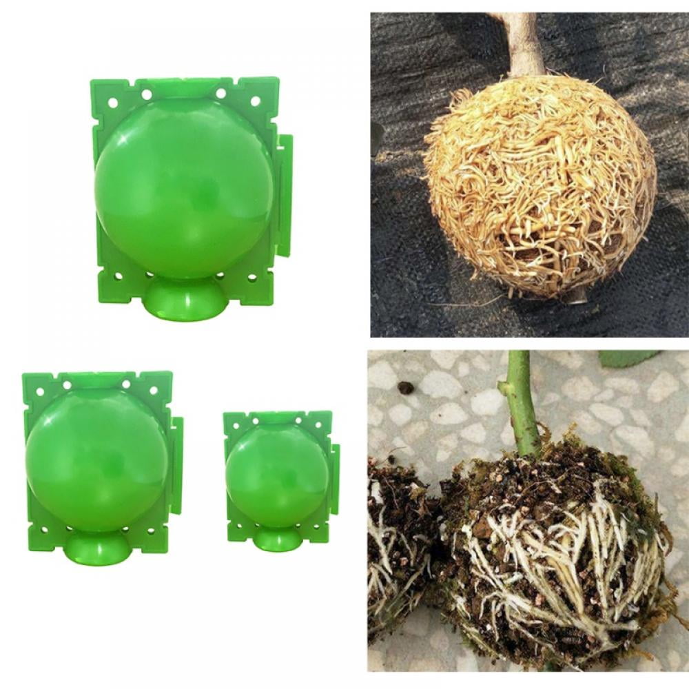 Plant Grafting Box Culture Box Plant Root Device Garden High Pressure ...