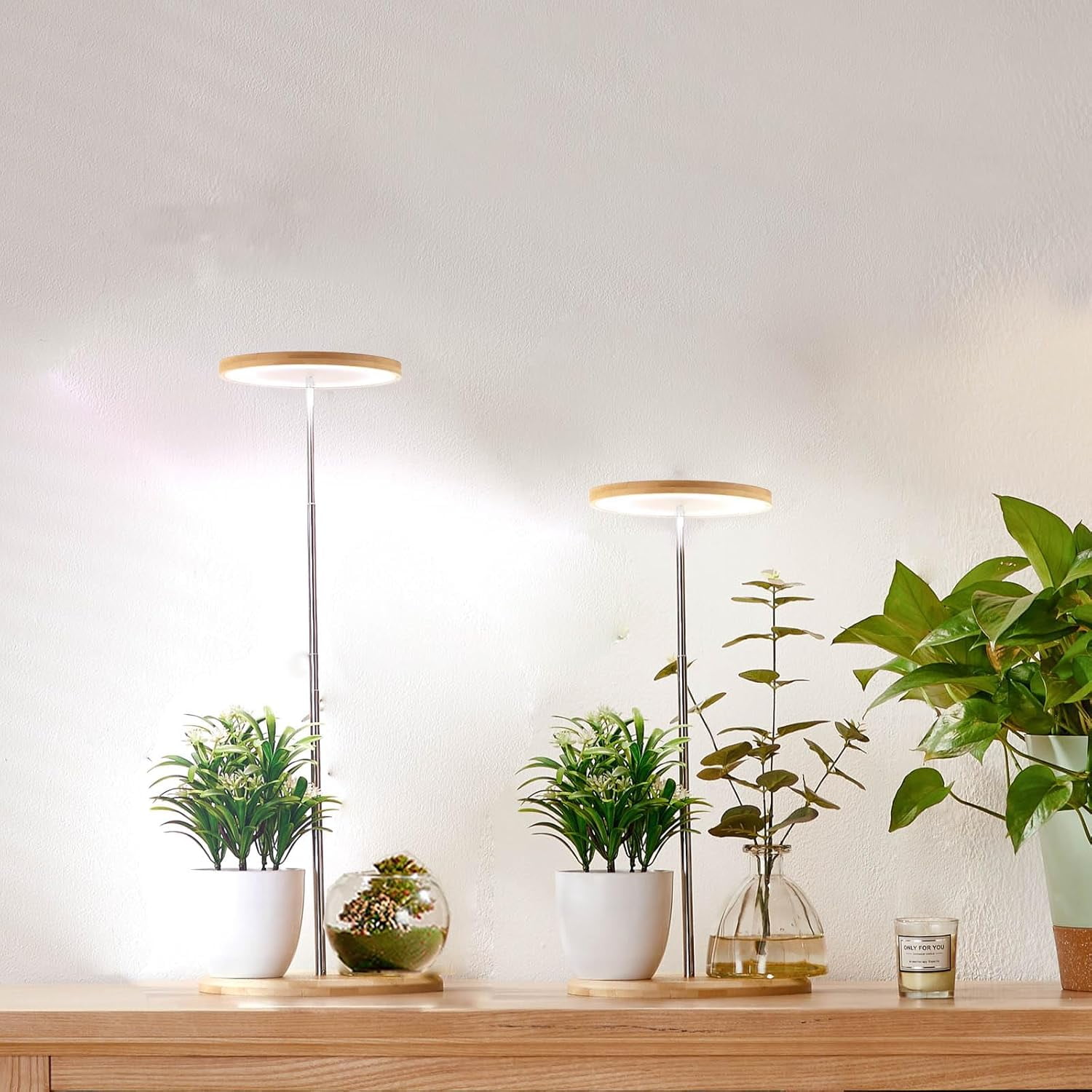 Plant Grow Light for Indoor Plant,Bamboo Mini LED Grow Light Garden ...