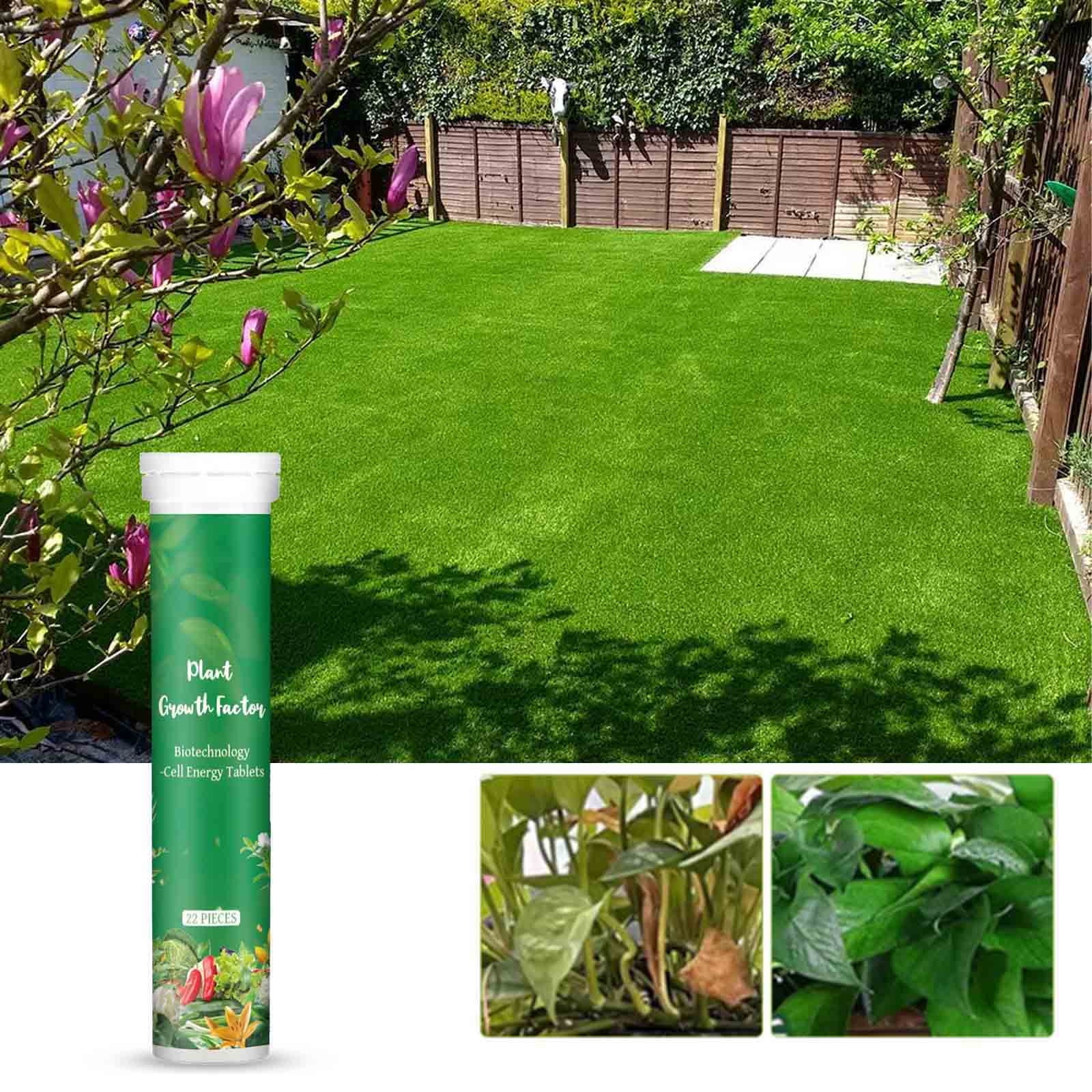 Plant Growth Factor Release Tablet | Fast Metabolism Support for Stems ...